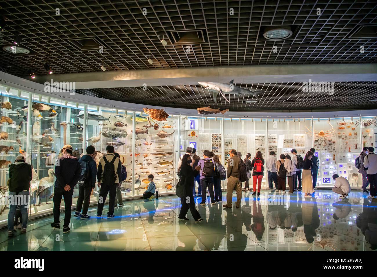 the exhibition "Biodiversity – We are All Part of the Same Ecosystem ...