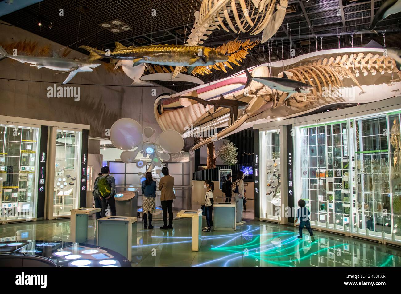 the exhibition "Biodiversity – We are All Part of the Same Ecosystem ...