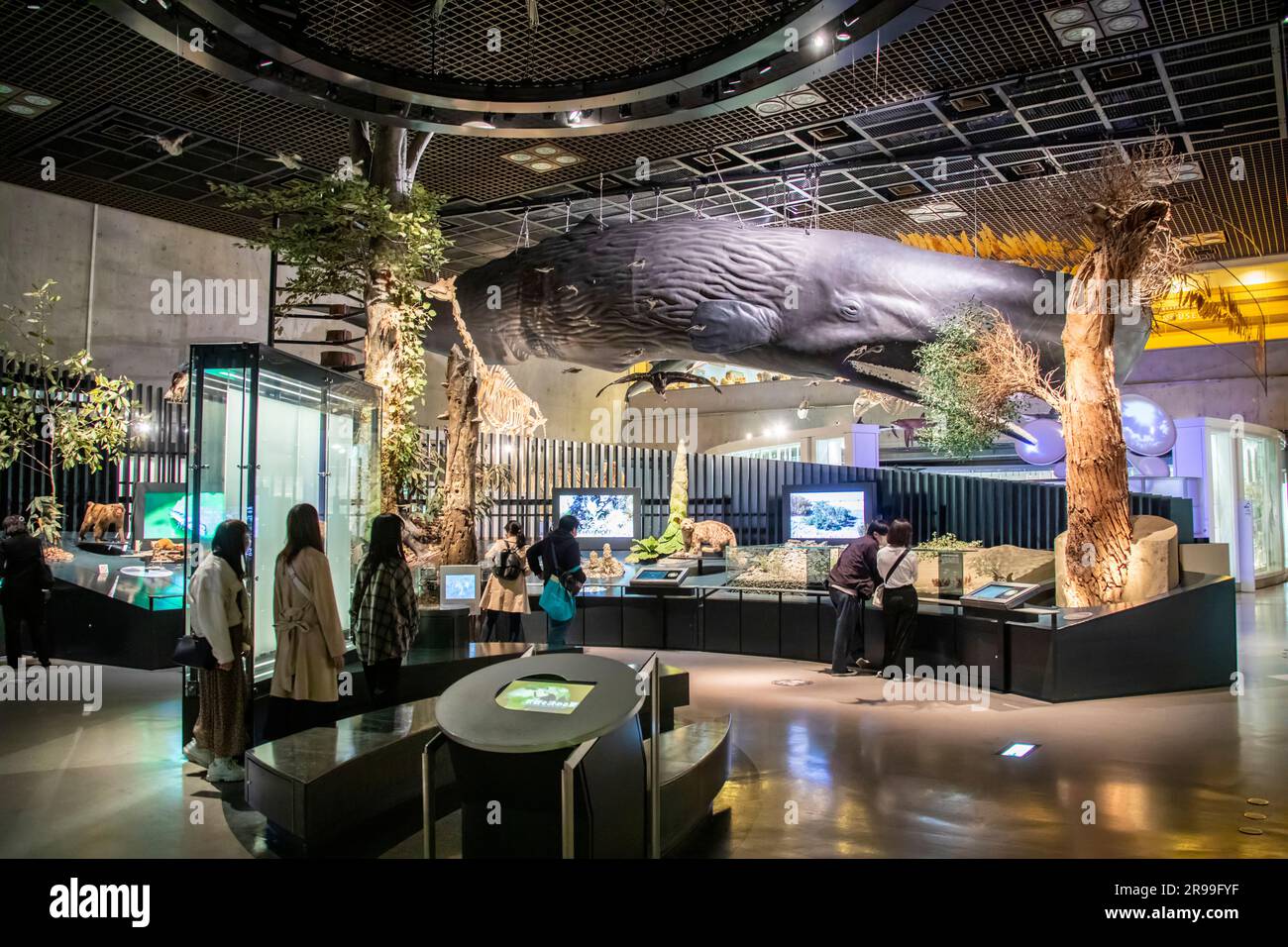 the exhibition "Biodiversity – We are All Part of the Same Ecosystem ...