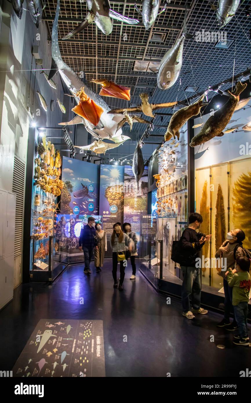 the exhibition "Biodiversity – We are All Part of the Same Ecosystem ...