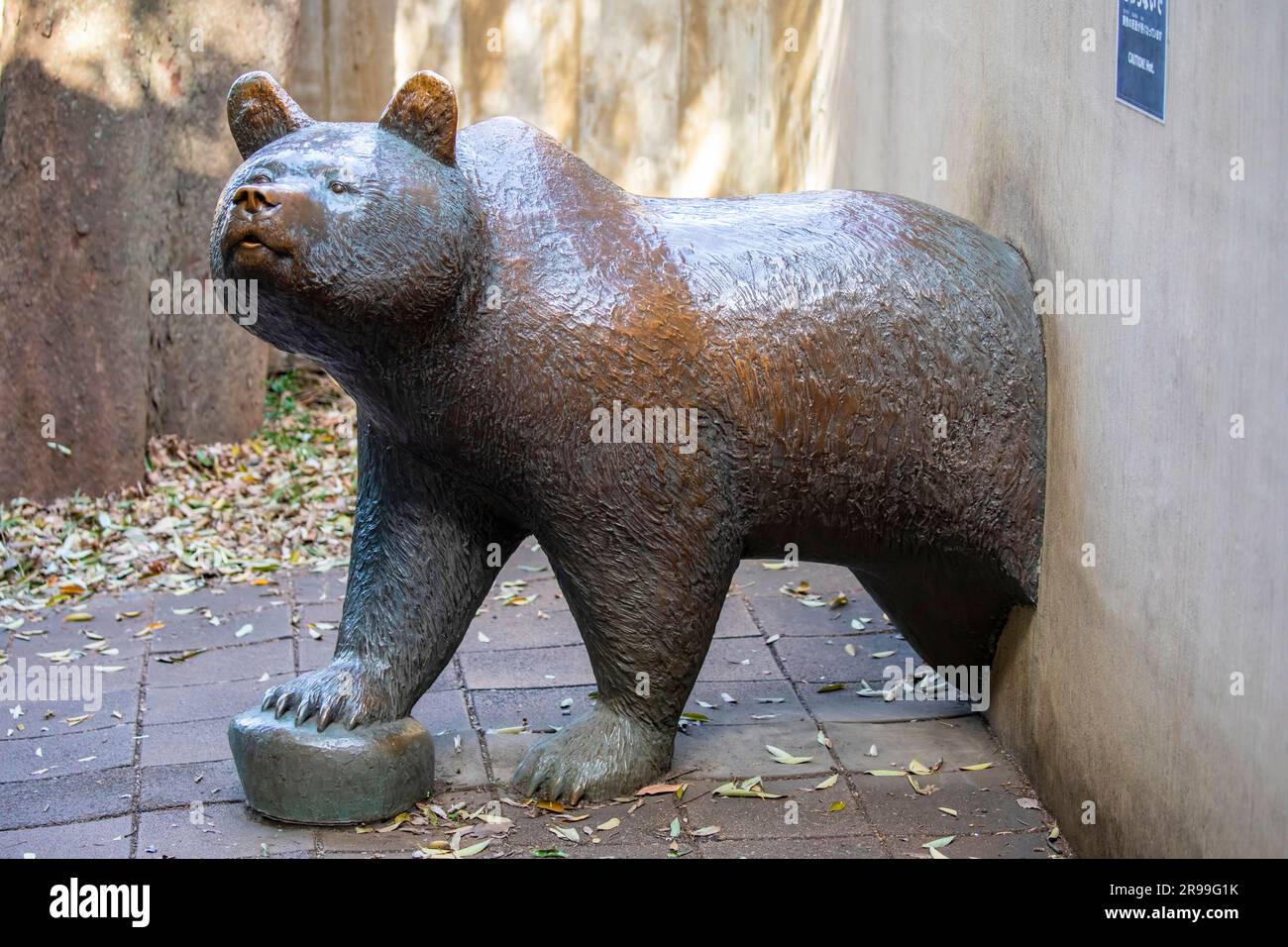 Tokyo Japan 11th Mar 2023: the Sculpture of a brown bear (Ursus arctos ...