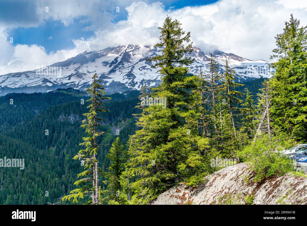 Evergreen trees in distance hi-res stock photography and images - Alamy