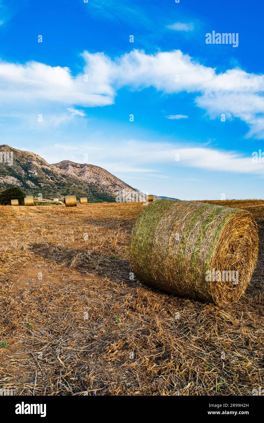 Hay bale countryside landscape of Naxos island of Greece Stock Photo ...