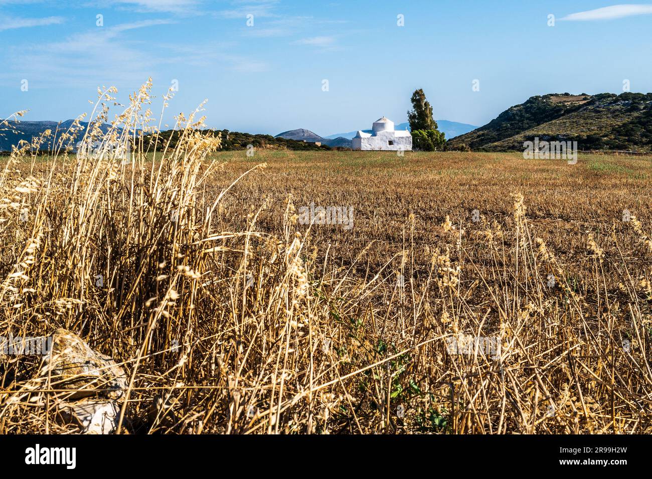 Hay making countryside landscape of Naxos island of Greece, with a ...