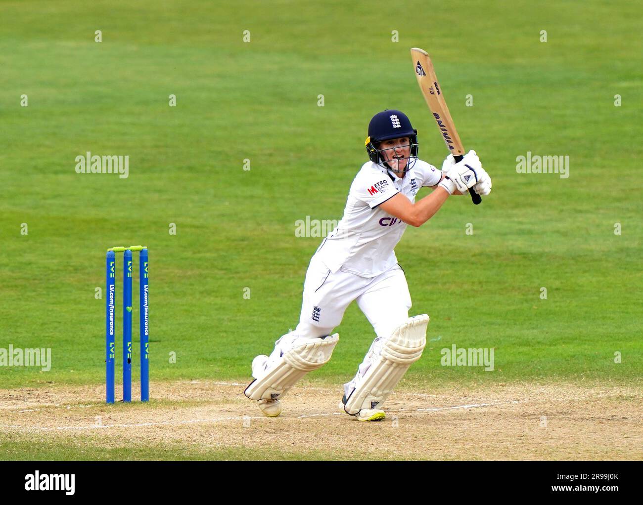 Cricket lamb hi-res stock photography and images - Alamy