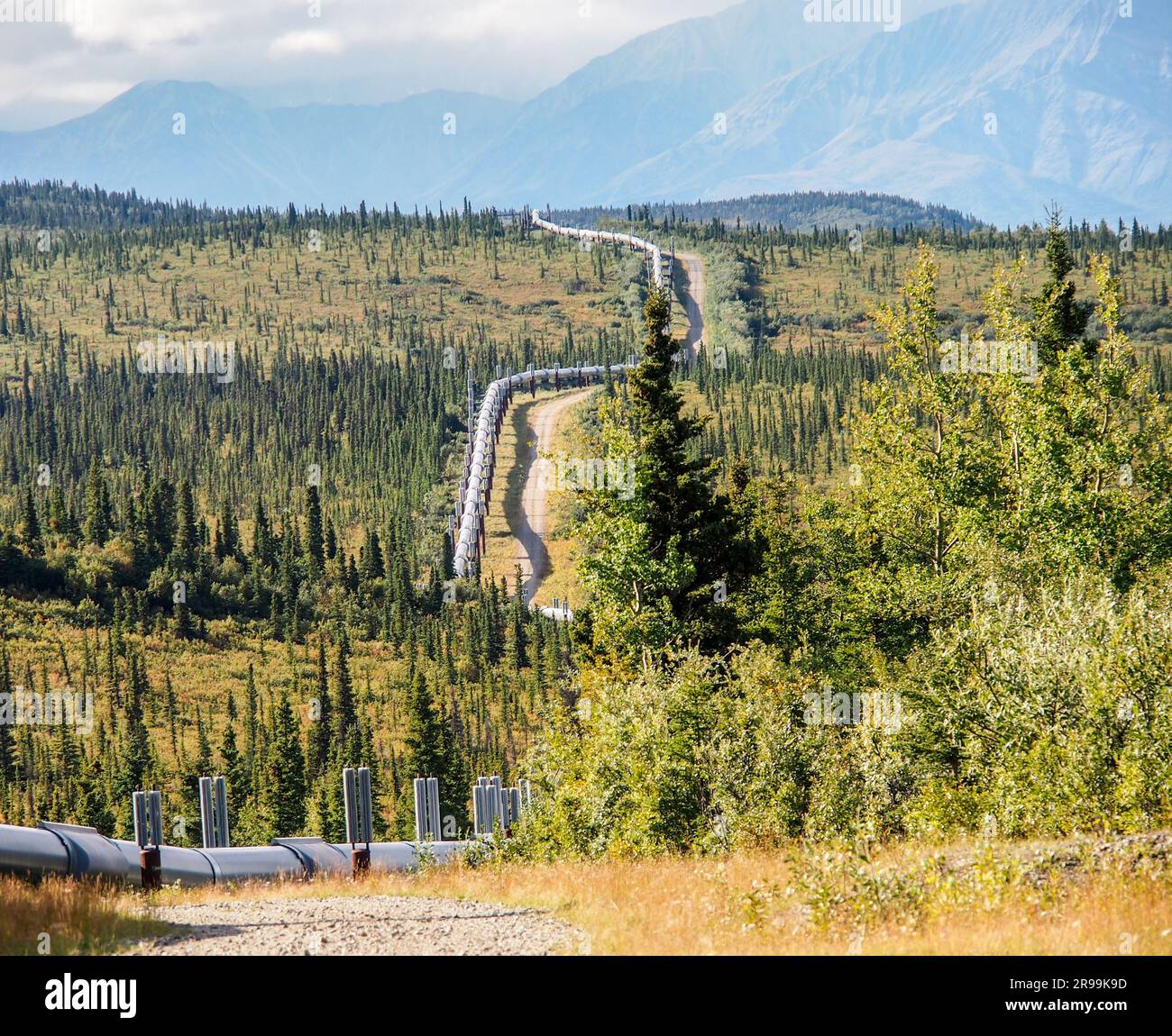 The Alaska Pipeline shows its zigzag path up a hill near Big Delta ...