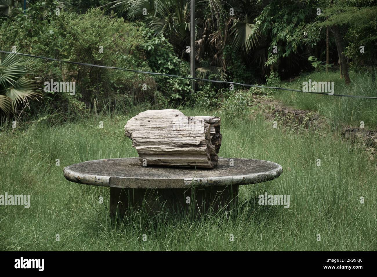 Fossils sedimentary rock hi-res stock photography and images - Alamy