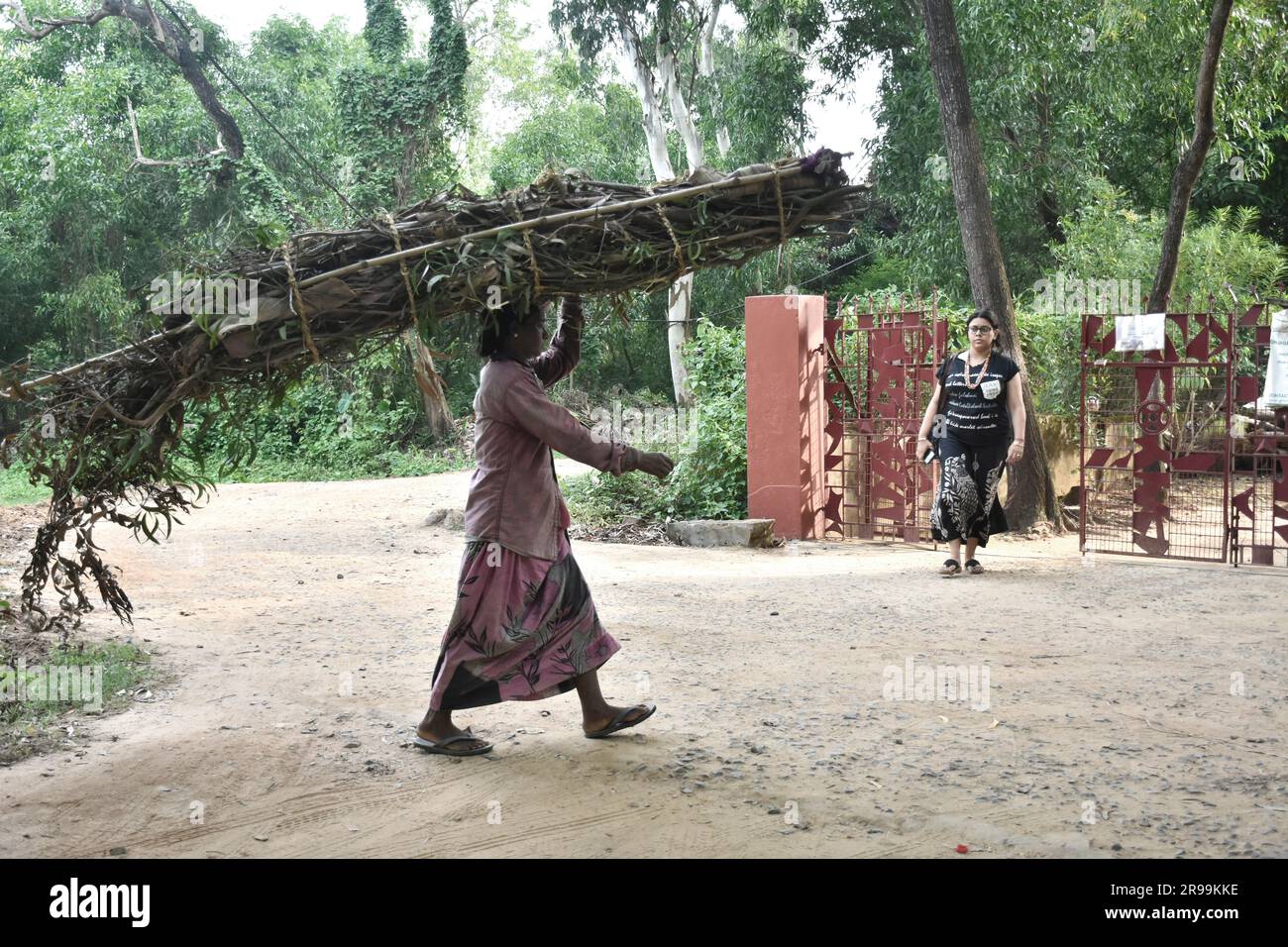 Santiniketan,west Bengal,India . Santali dancers along with other ...