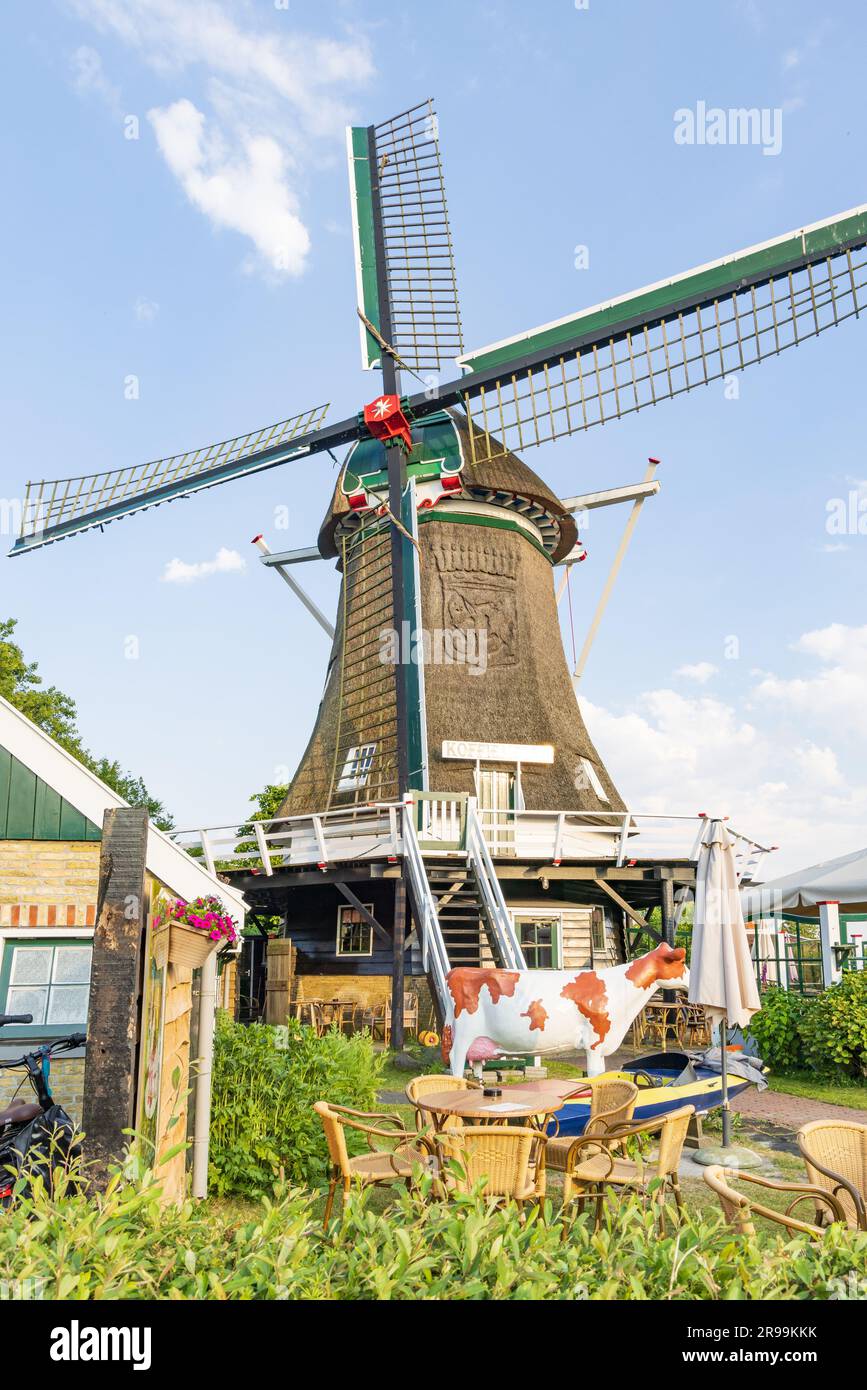 Terschelling, The Netherlands - June 11, 2023: Street view with windmill the coffee mill in ...