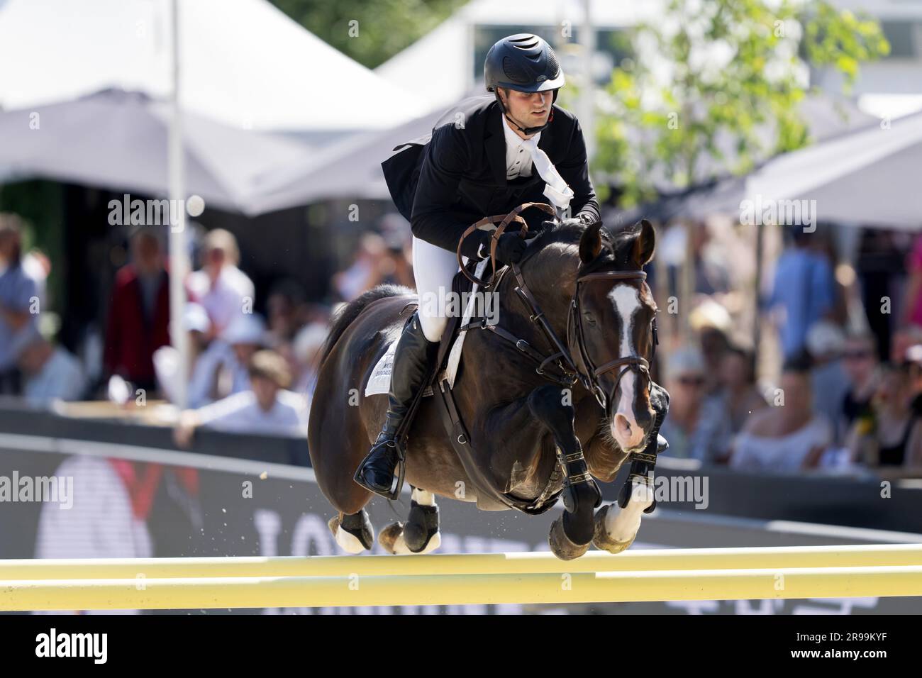 ROTTERDAM - Bas Moerings with Ipsthar in action during the Nations Cup ...