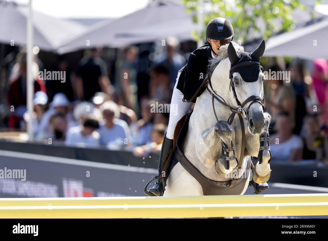 ROTTERDAM - Lars Kersten with Hallilea in action during the Nations Cup ...