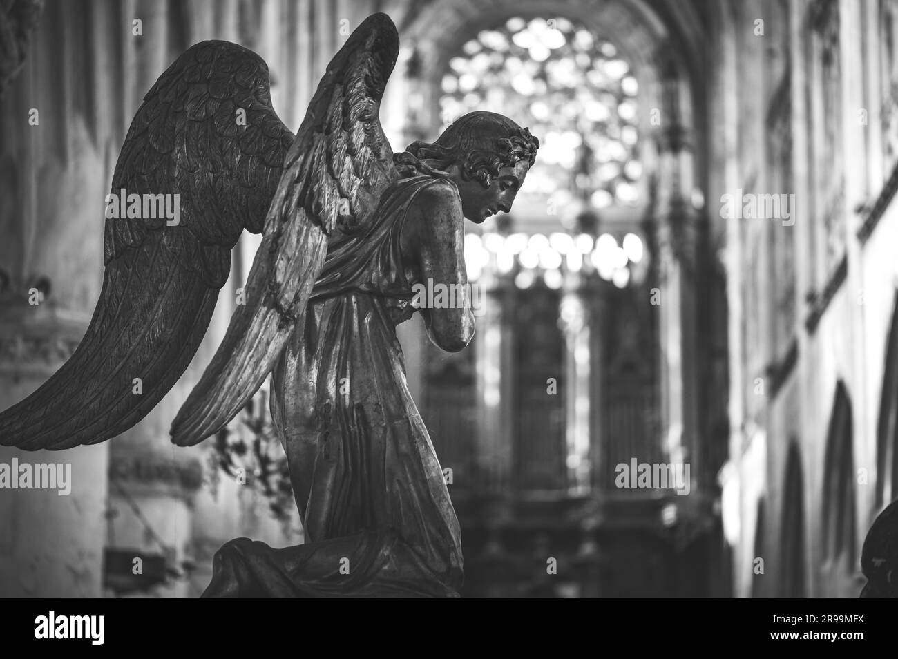 Black and white picture of an kneeling angel in a gothic church in ...