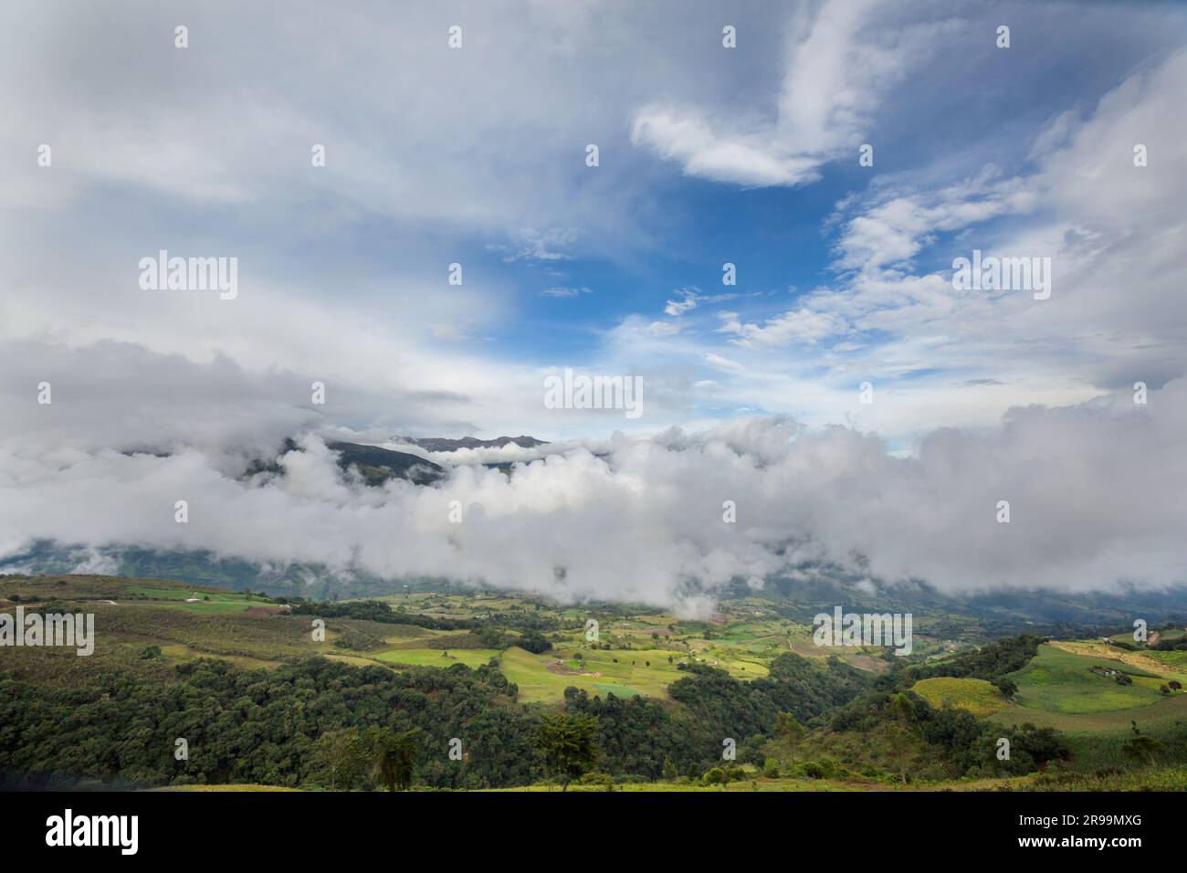 Misty green Cordillera mountains in Colombia, South America Stock Photo ...