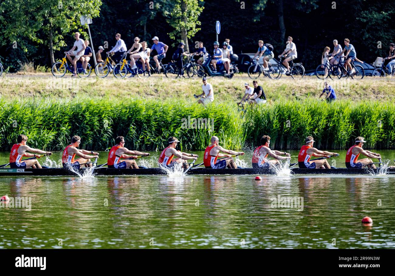 Bos bij doorn hi-res stock photography and images - Alamy