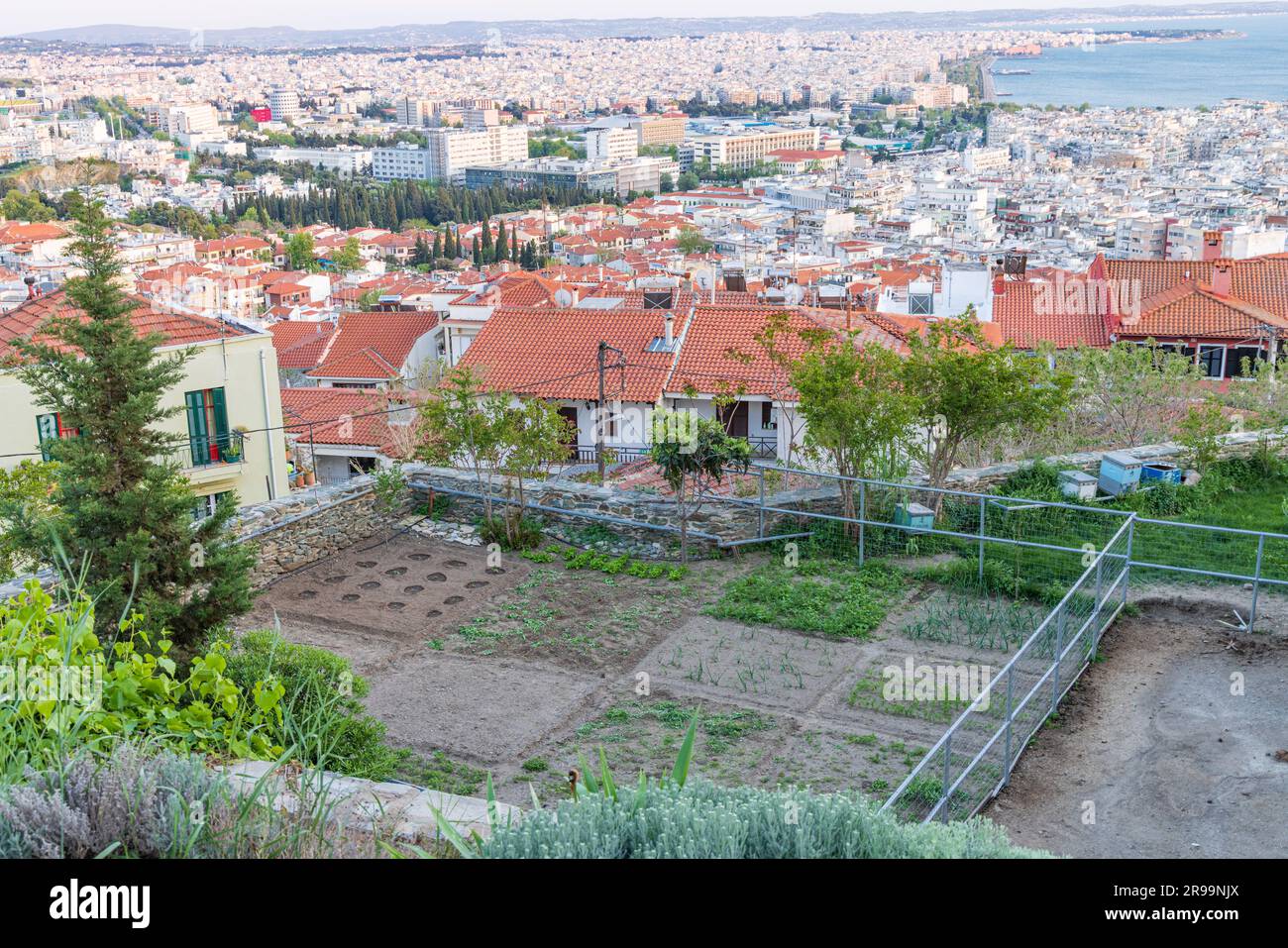Urban vegetable garden during springtrime in Ano Poli Thessaloniki in ...