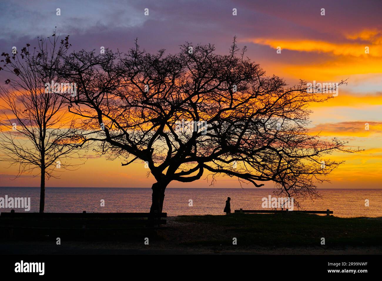 Loyola Beach; at Touhy Park sunrise along the coast of Lake Michigan in ...