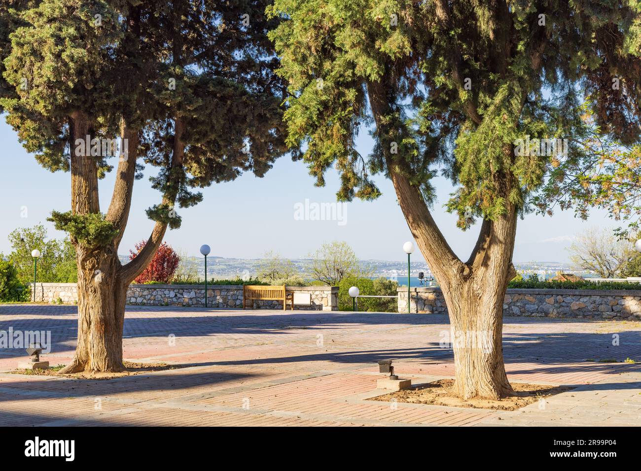 View from main building with old pine tree of American Farm School in ...