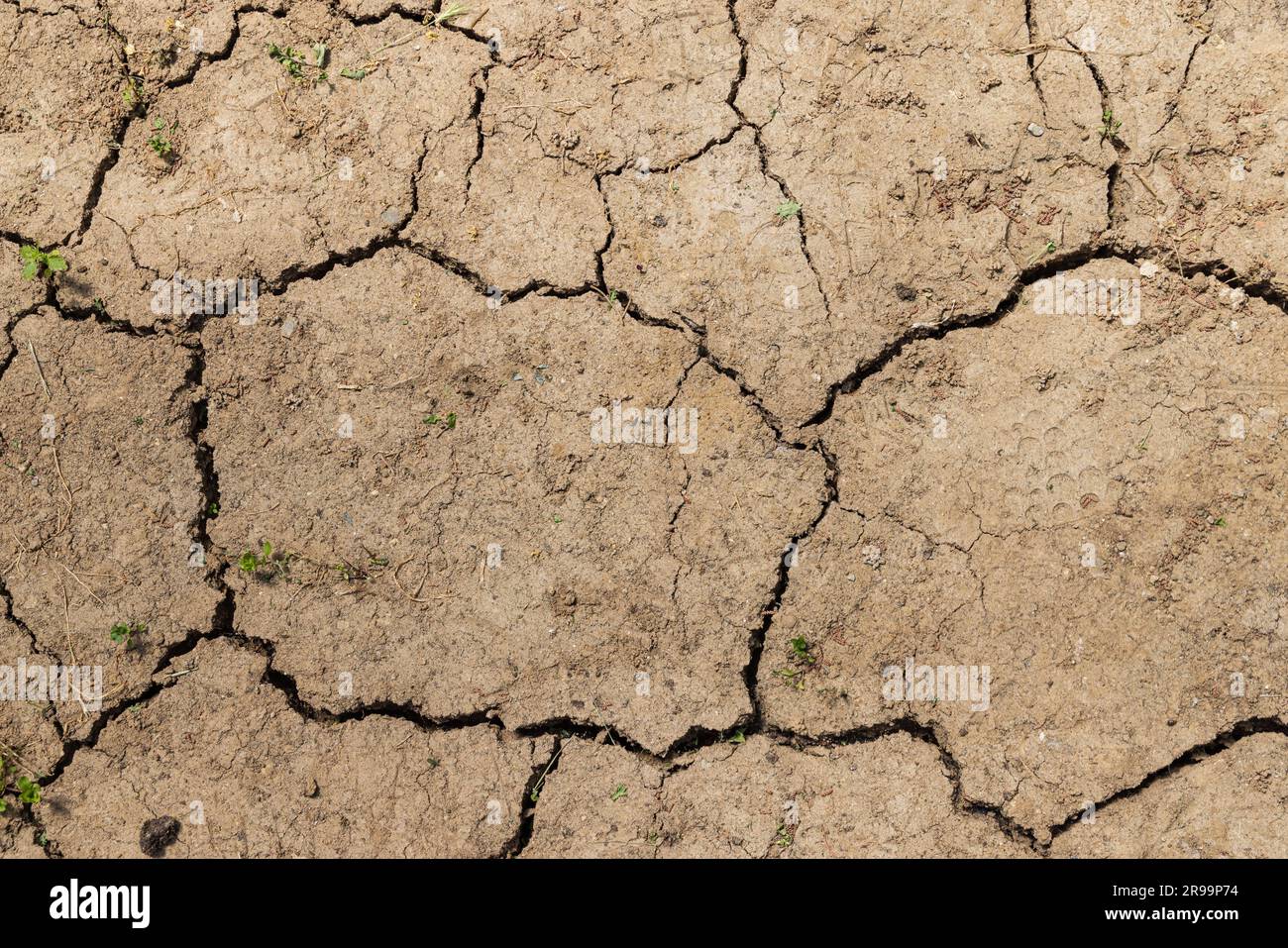 Completely dried up soil in garden during the summer Stock Photo - Alamy