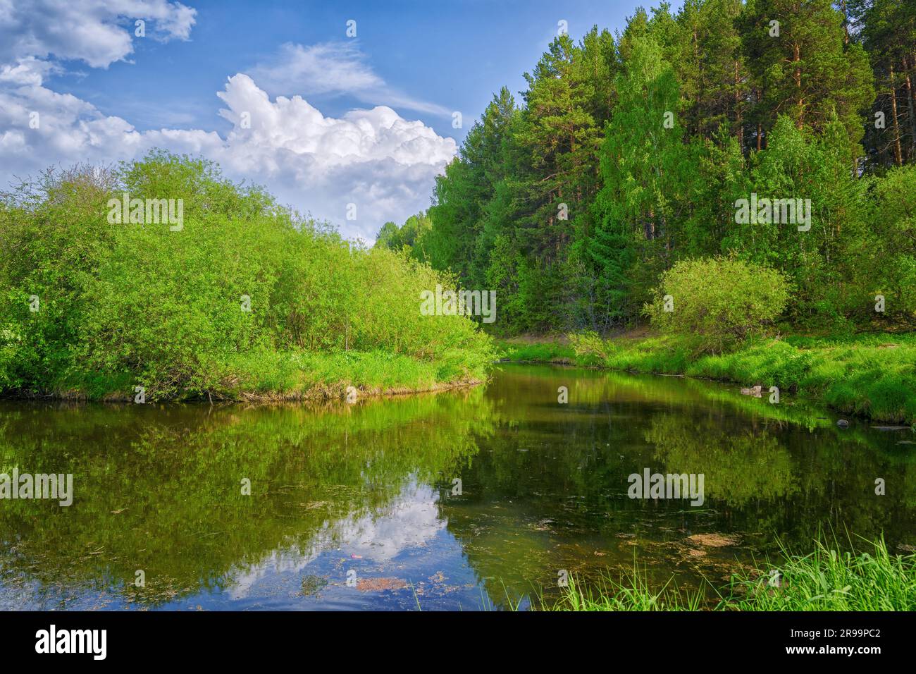 Landscape with riverbank. Wonderful nature, beautiful natural ...