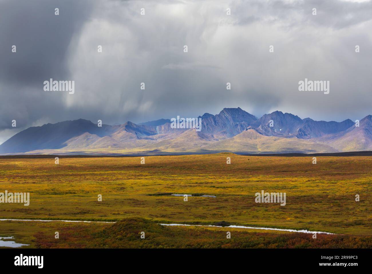 Tundra landscapes above Arctic circle Stock Photo - Alamy