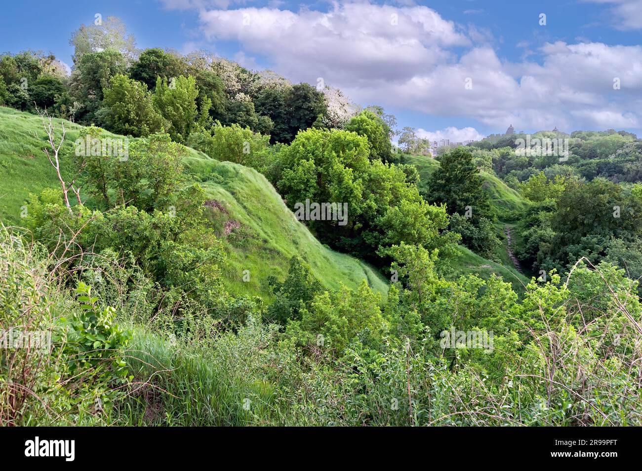 Lush green hills in Kyiv Ukraine Stock Photo - Alamy