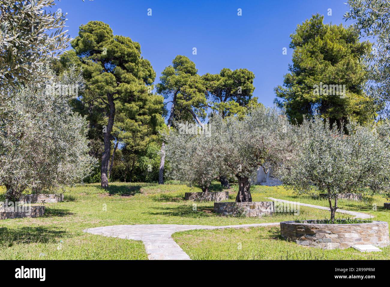 American training grounds hi-res stock photography and images - Alamy