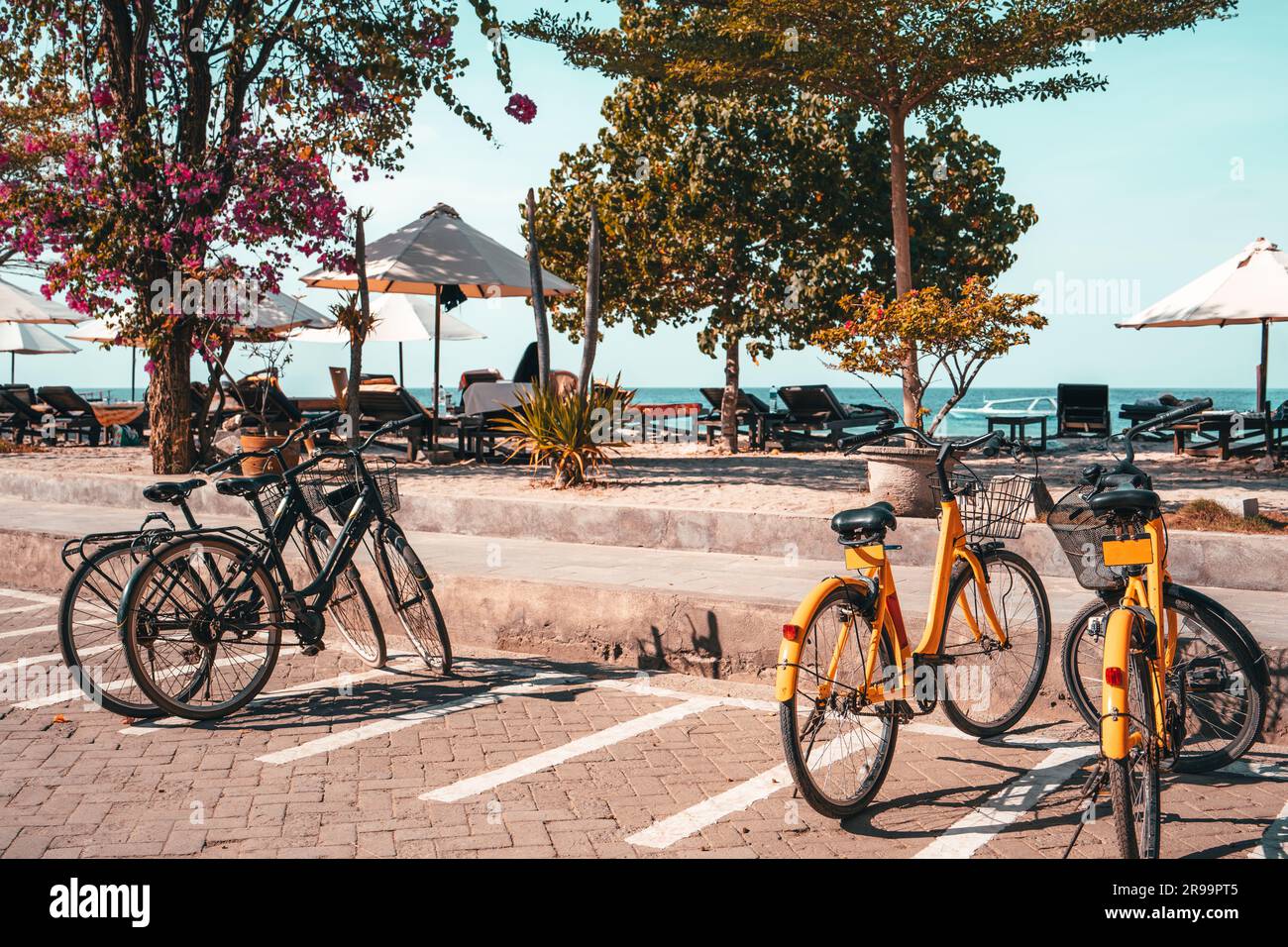 A colorful group of bicycles parked on a sidewalk sea background with ...