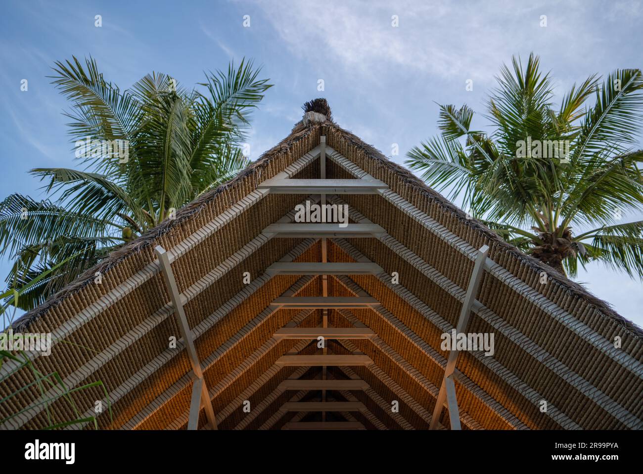Roof surrounded by two tall palm trees, under a bright blue sky with ...