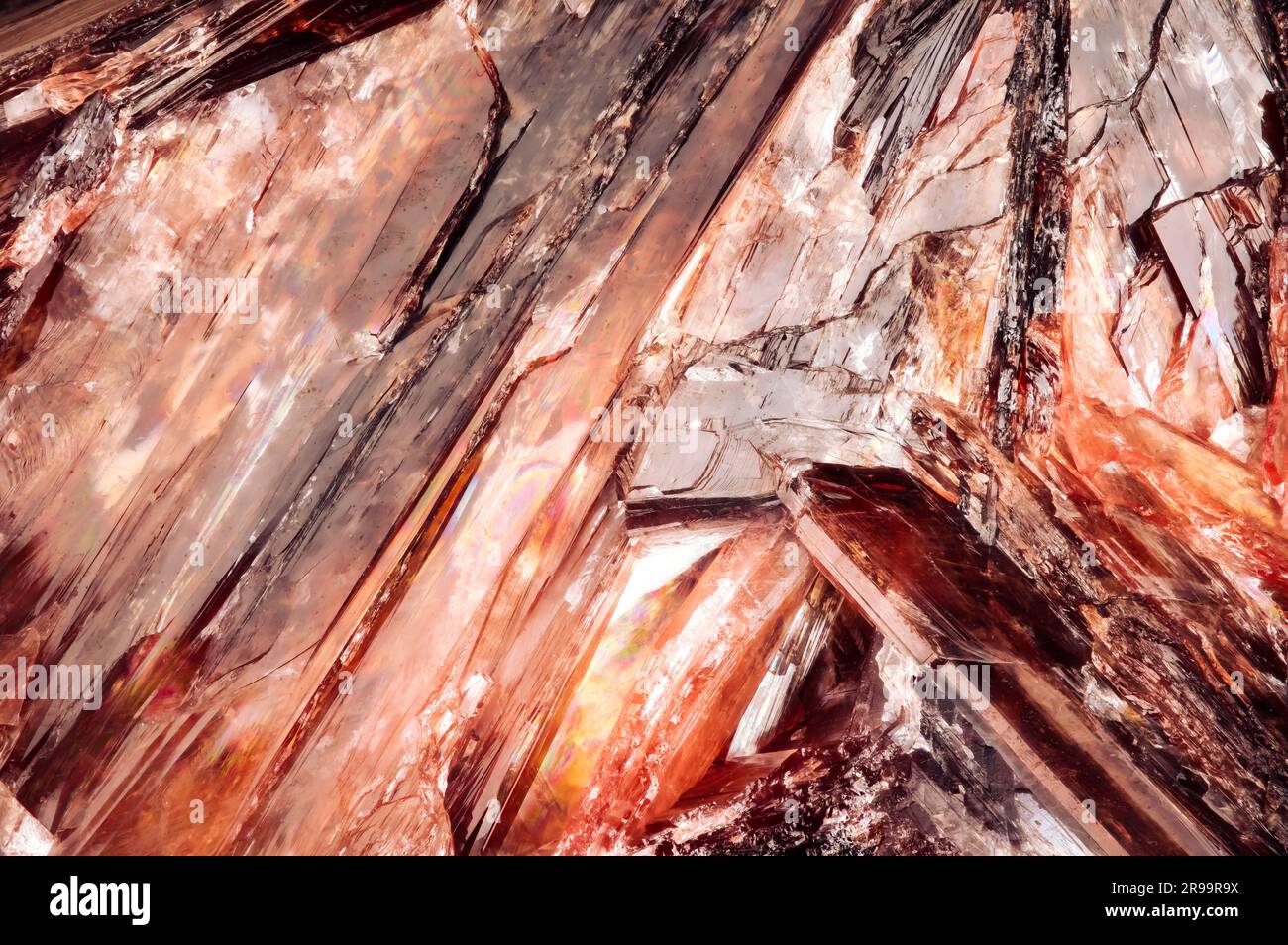 Orange red semi transparent hi-res stock photography and images - Alamy