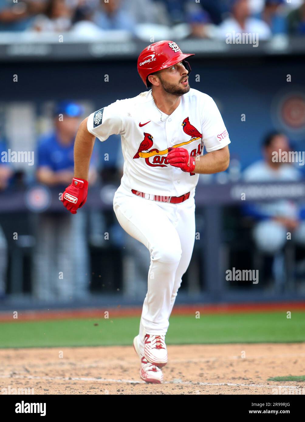 Paul dejong hi-res stock photography and images - Alamy