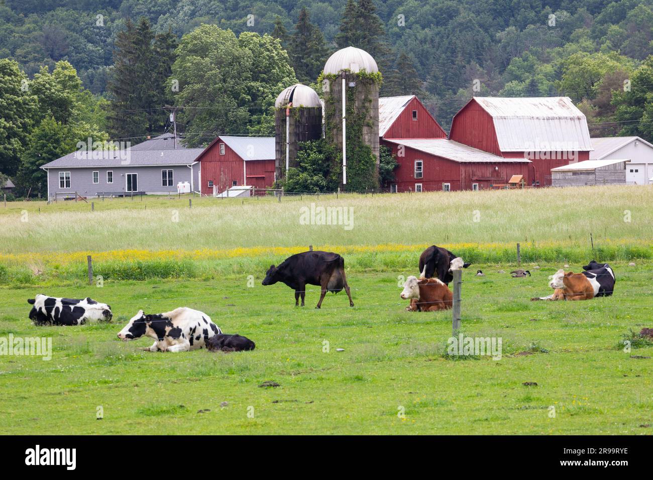 Tompkins county new york hi-res stock photography and images - Alamy