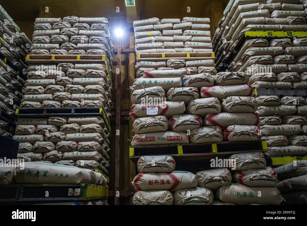Japan/Hyogo prefecture/Producing Japanese sake/Bags of rice produced ...