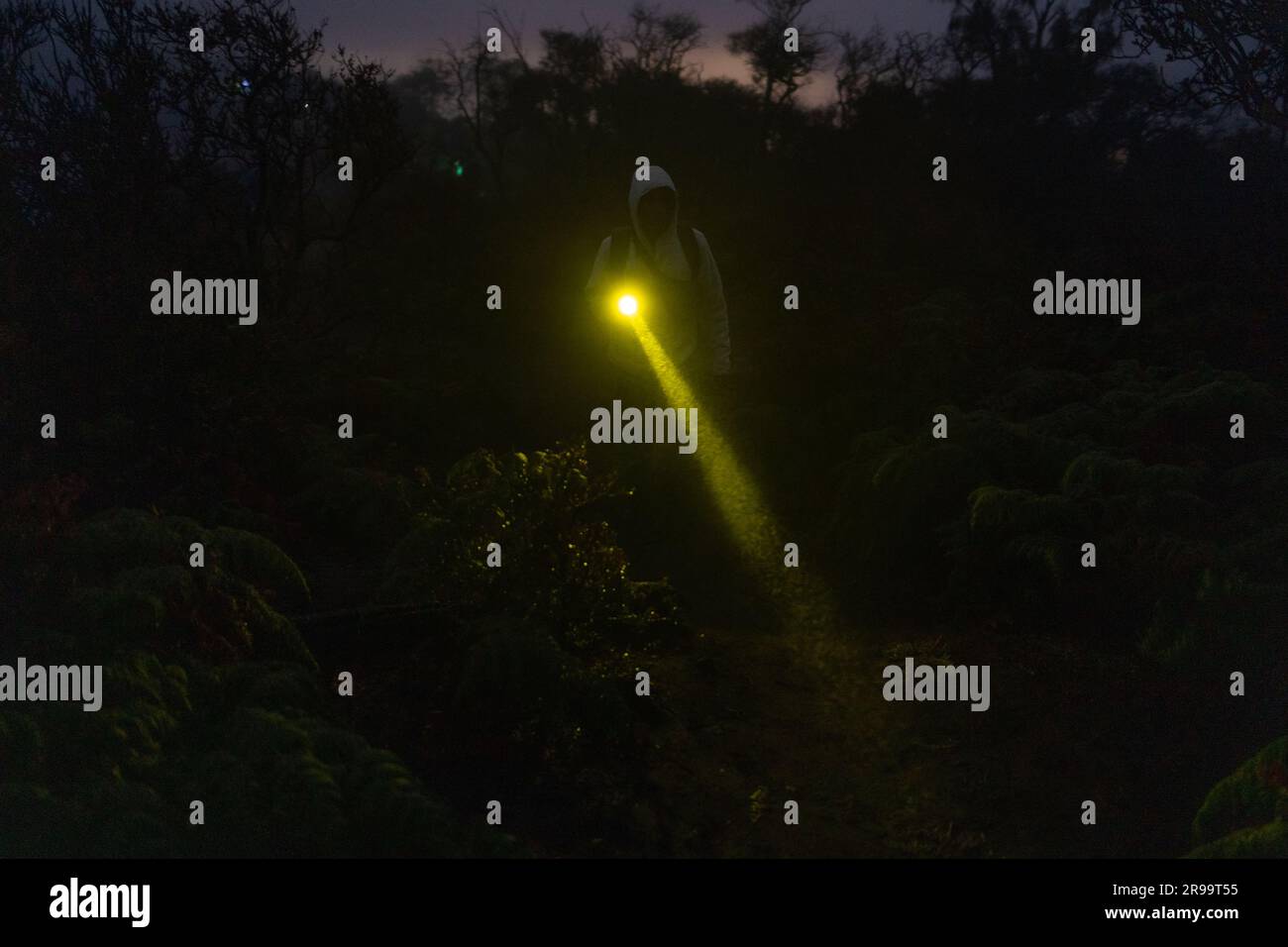 Front view of night man walking with flashlight. Tourist searching road ...