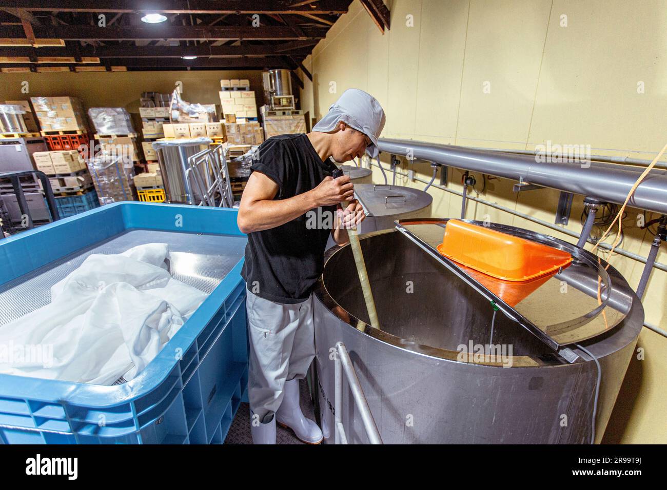Producing Japanese sake, Brewer fermenting sake at Sake Brewery in ...