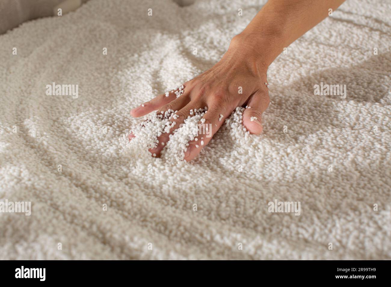 Producing Japanese sake: Hands with grains of rice for the production ...