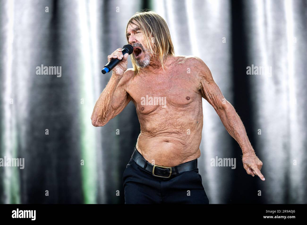 Musician during performance 2023 hi-res stock photography and images ...