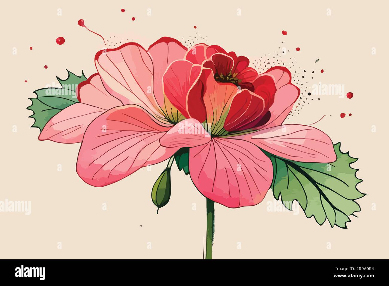 How To Draw Red Geraniums