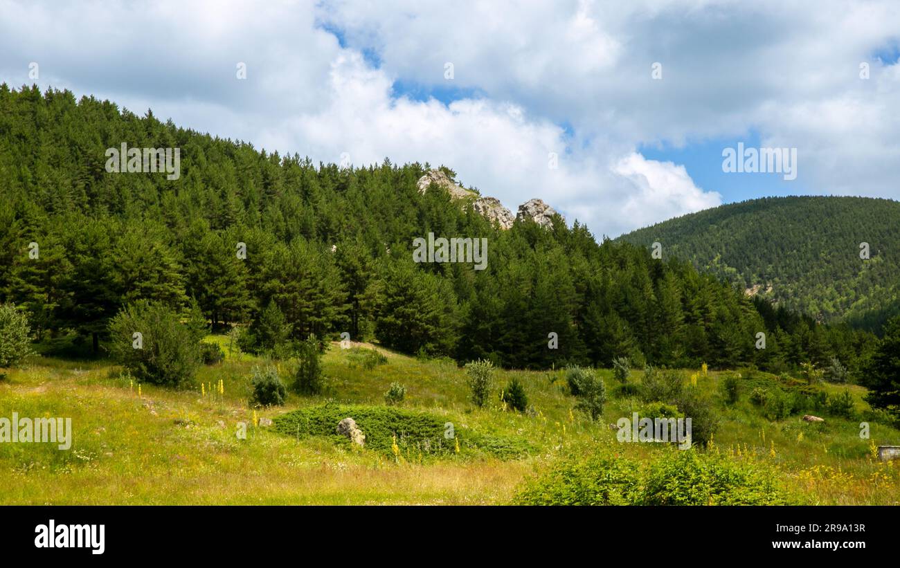 Hills covered with greenery hi-res stock photography and images - Alamy