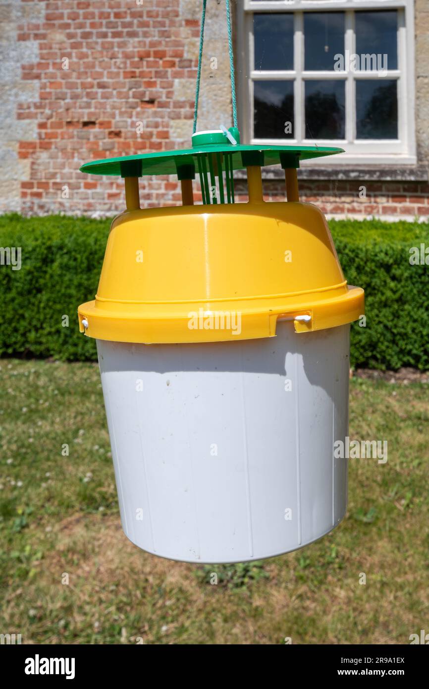 Damages box hedges hi-res stock photography and images - Alamy