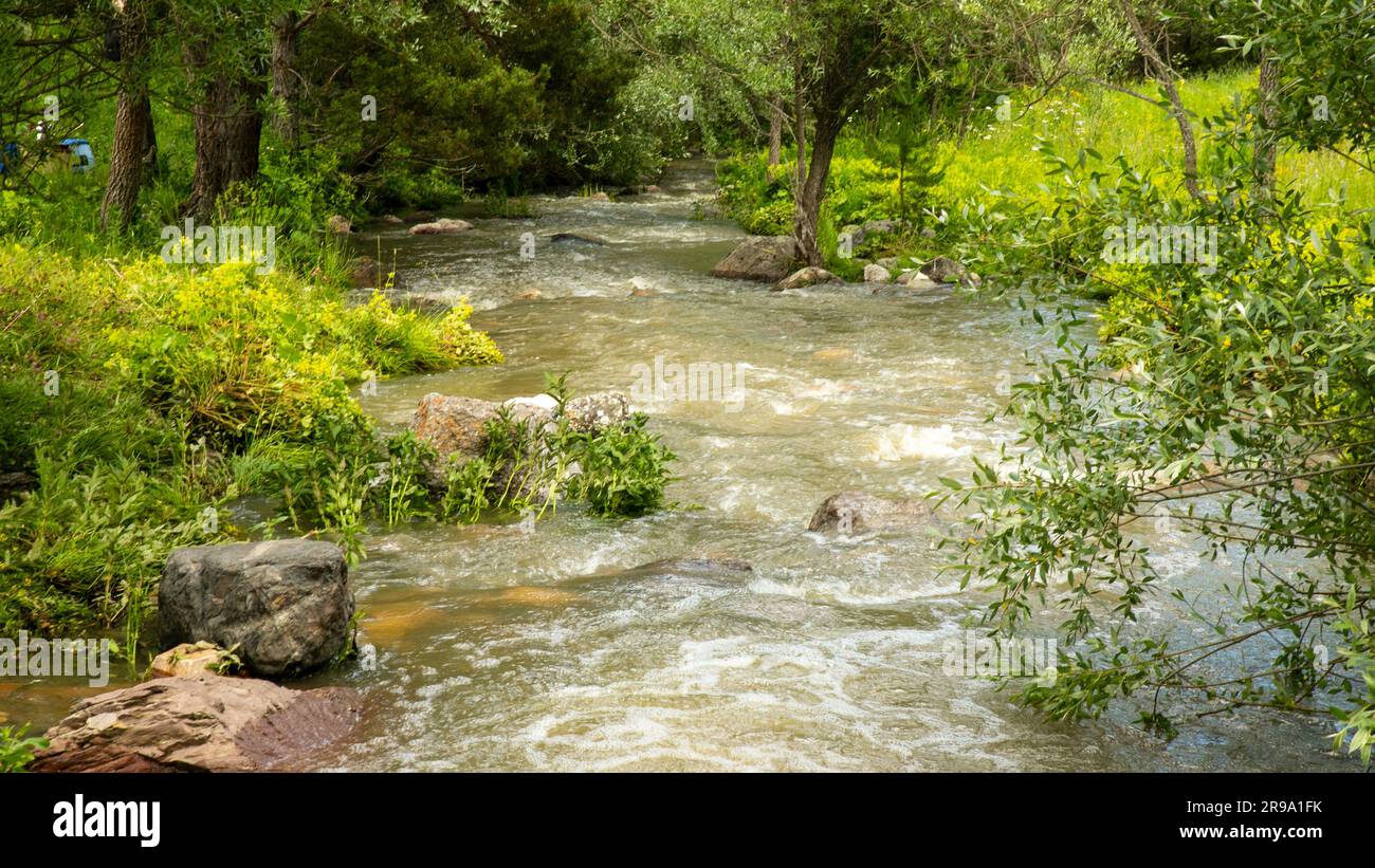 Stream photography hi-res stock photography and images - Alamy
