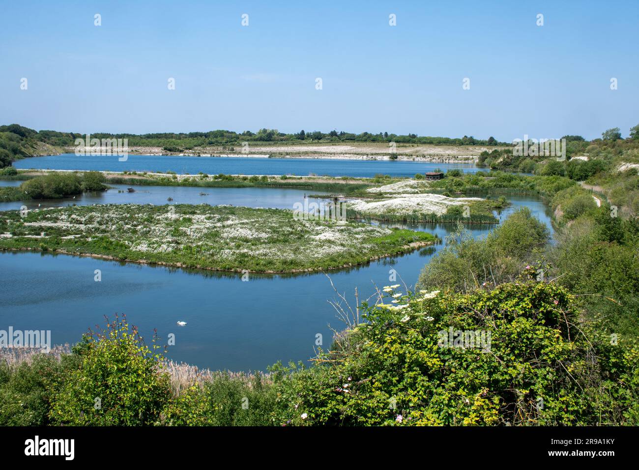 View over lakes at College Lake Nature Reserve in a former chalk quarry ...