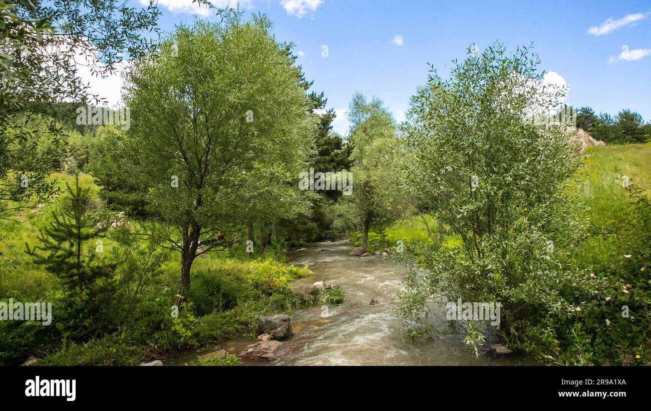 Landscape view stream flowing in hi-res stock photography and images ...