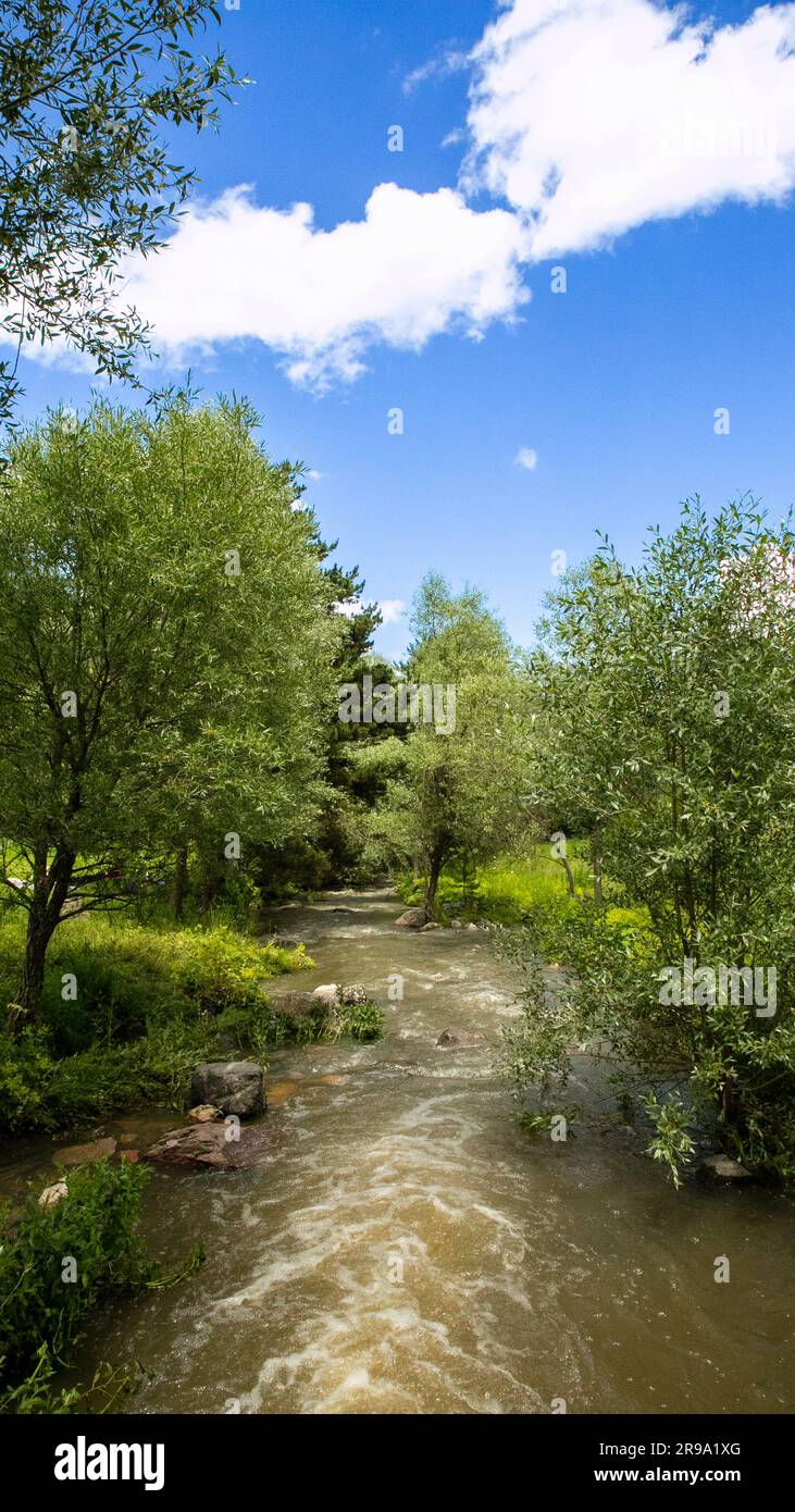 Scenery stream brook water flow hi-res stock photography and images - Alamy
