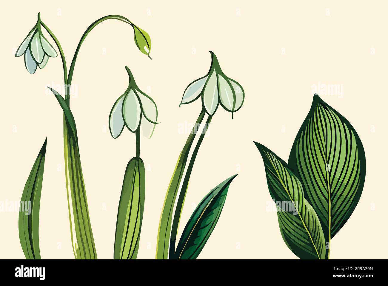 Snowdrop flower single Stock Vector Images - Alamy