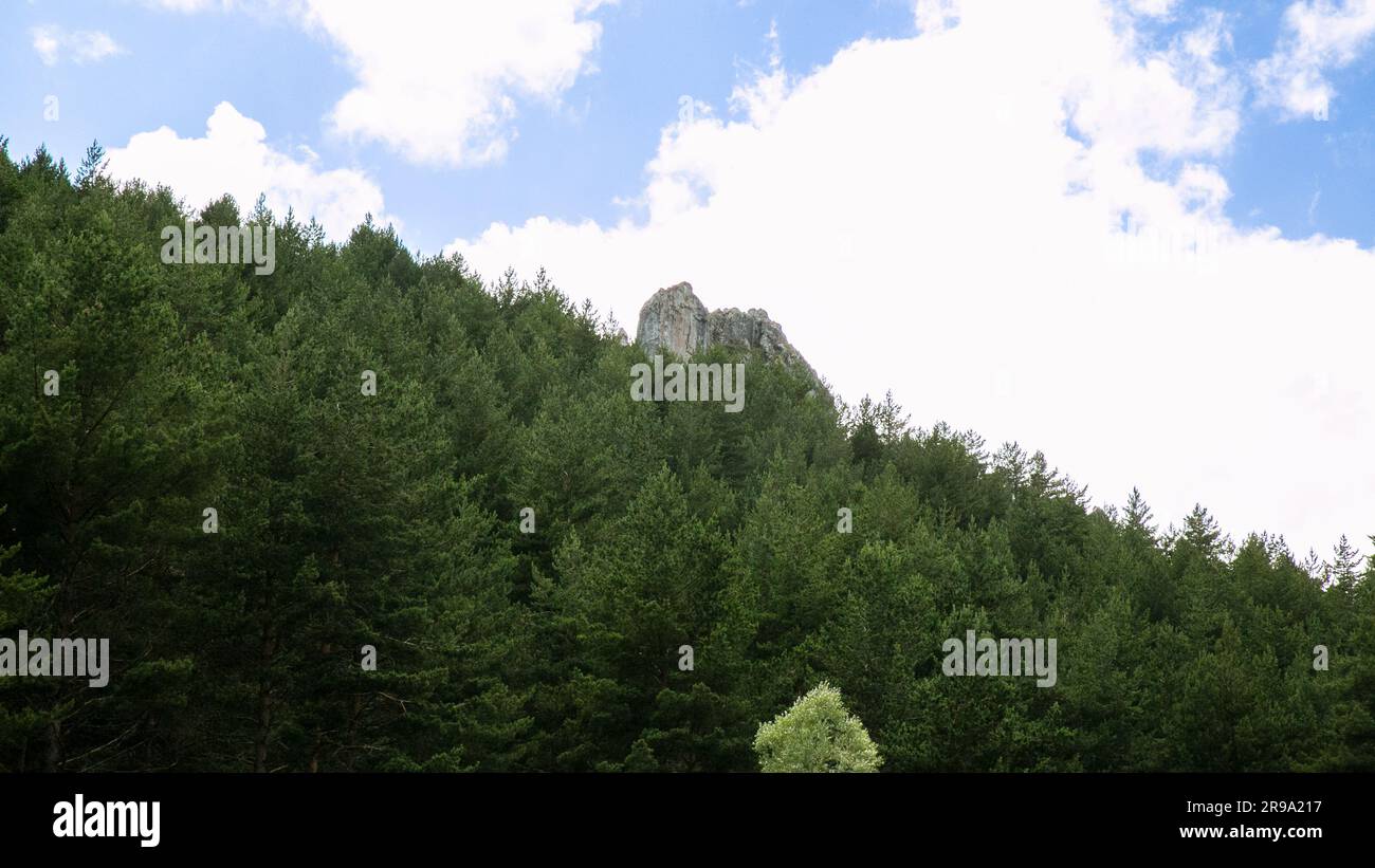 Unique Mountain View with Pine Trees Stock Photo - Alamy