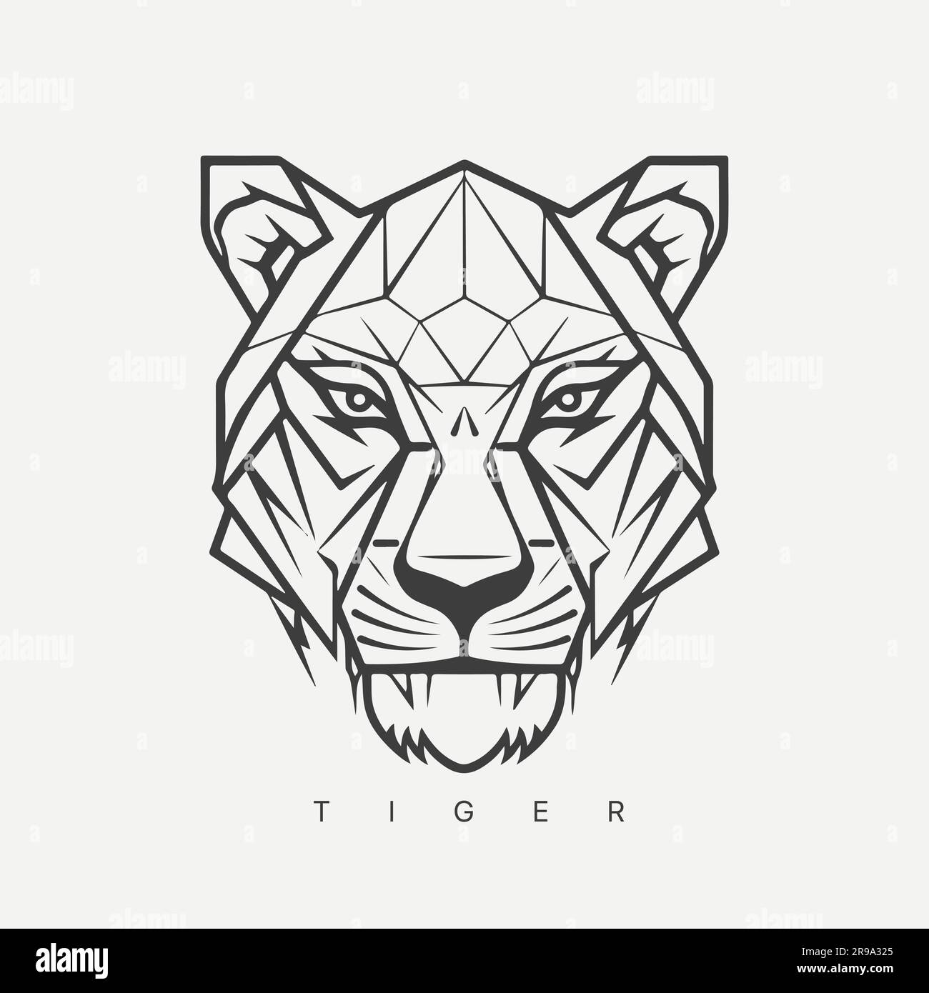 Geometric Tiger Drawing