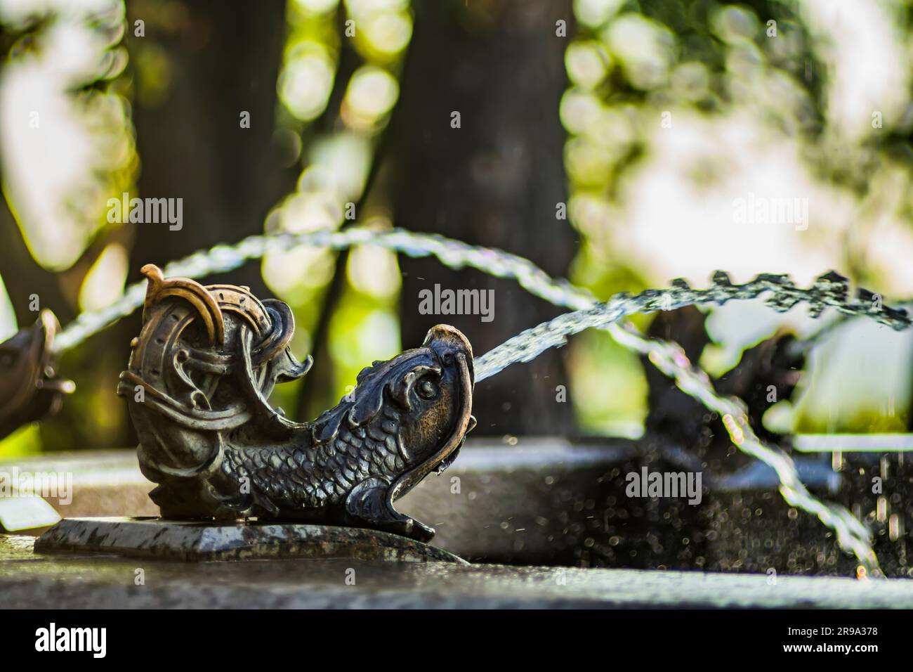 Jet water from `fish` hi-res stock photography and images - Alamy