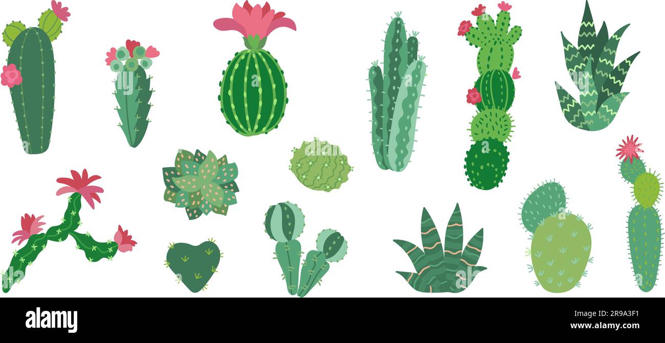 Flat mexican cactus, decorative cacti arizona desert. Succulents, home ...