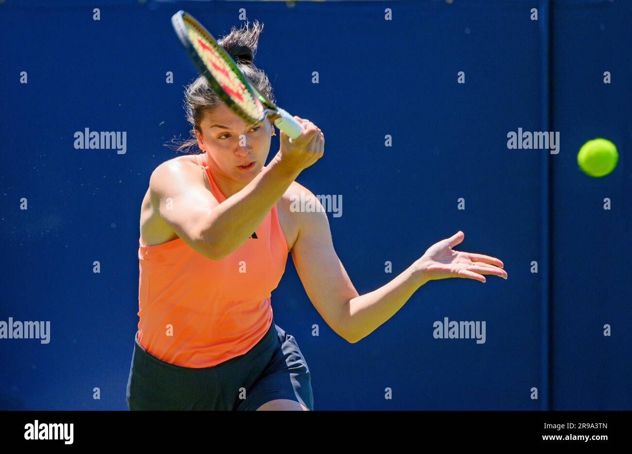 Margarita betova hi-res stock photography and images - Alamy