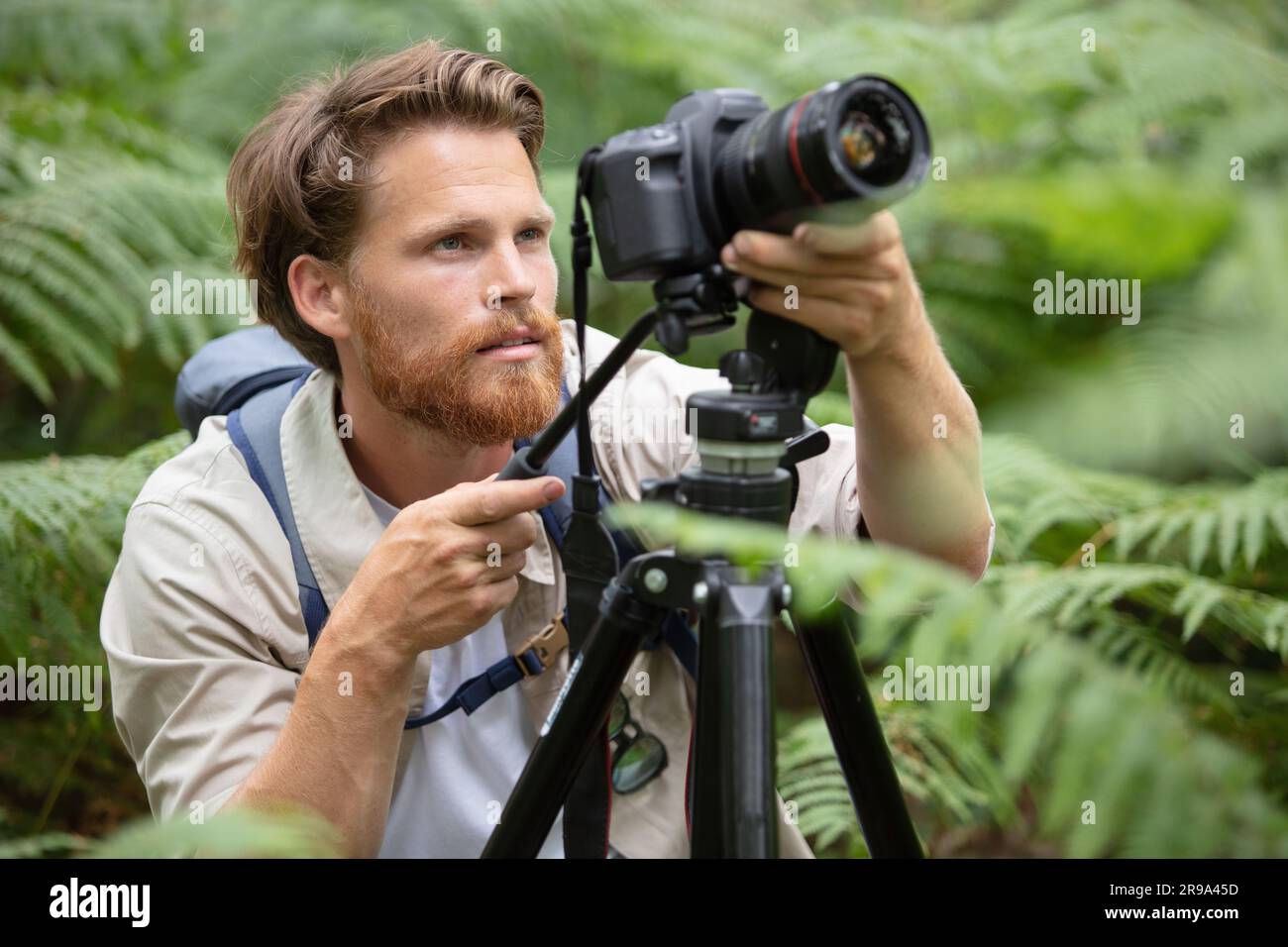 Photographer using a tripod hi-res stock photography and images - Alamy